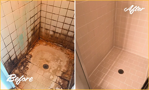 Regrouting shower store